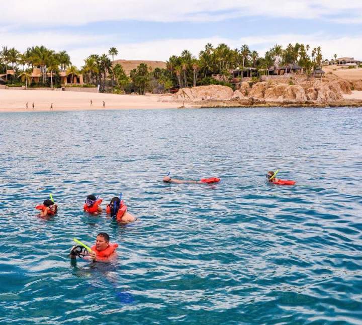 Snorkel Fun Los Cabos